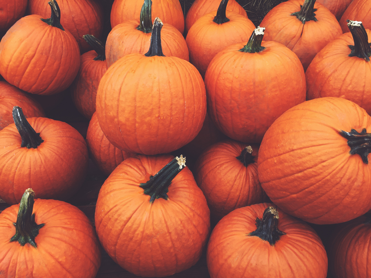 5 Pumpkin Skincare Products To Try This Autumn - Prime Women | An ...